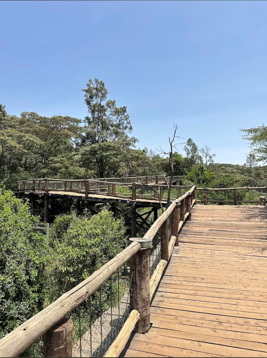 Nairobi Safari Walk | Nairobi Unwind.